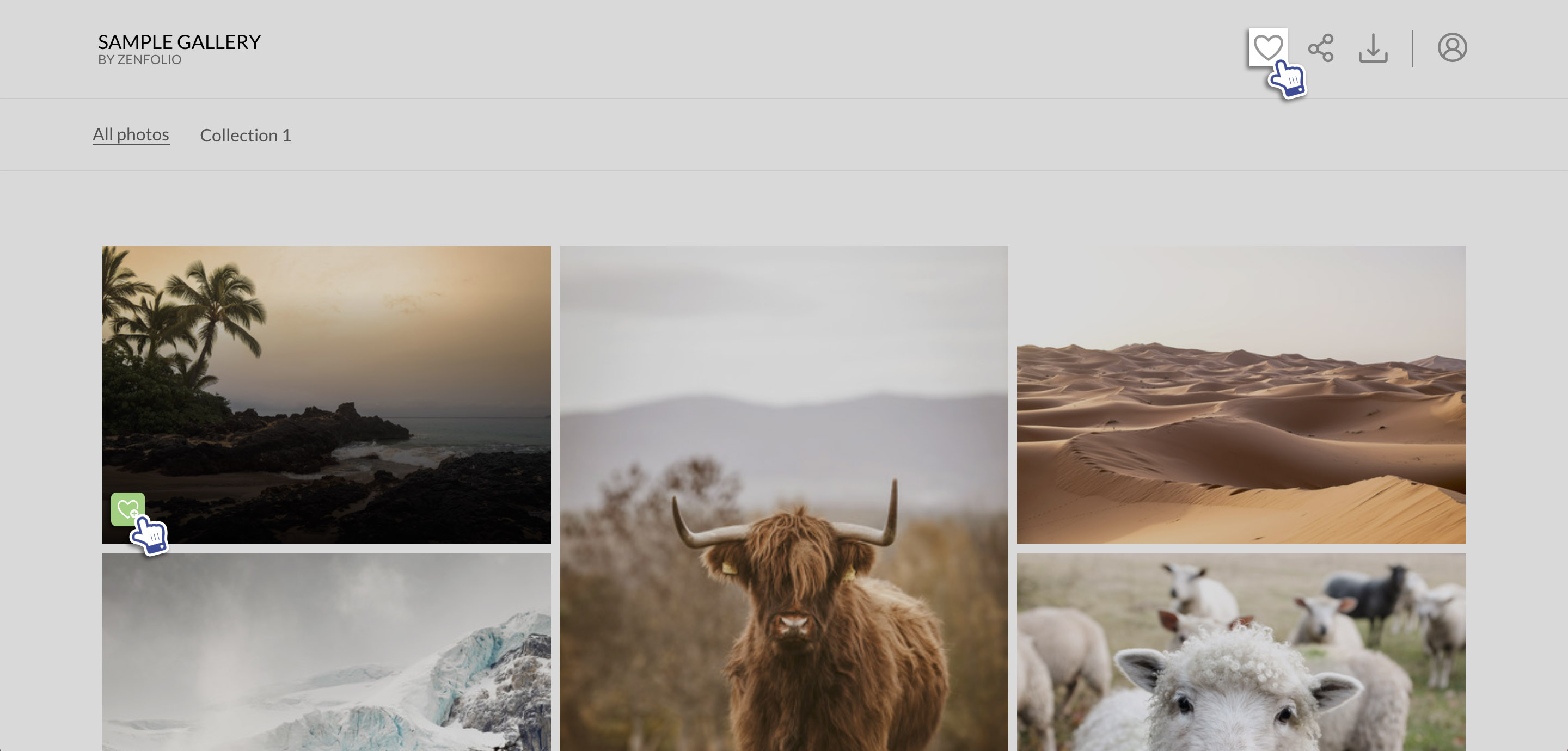 Allowing Visitors to Select Their Favorite Photos – Zenfolio