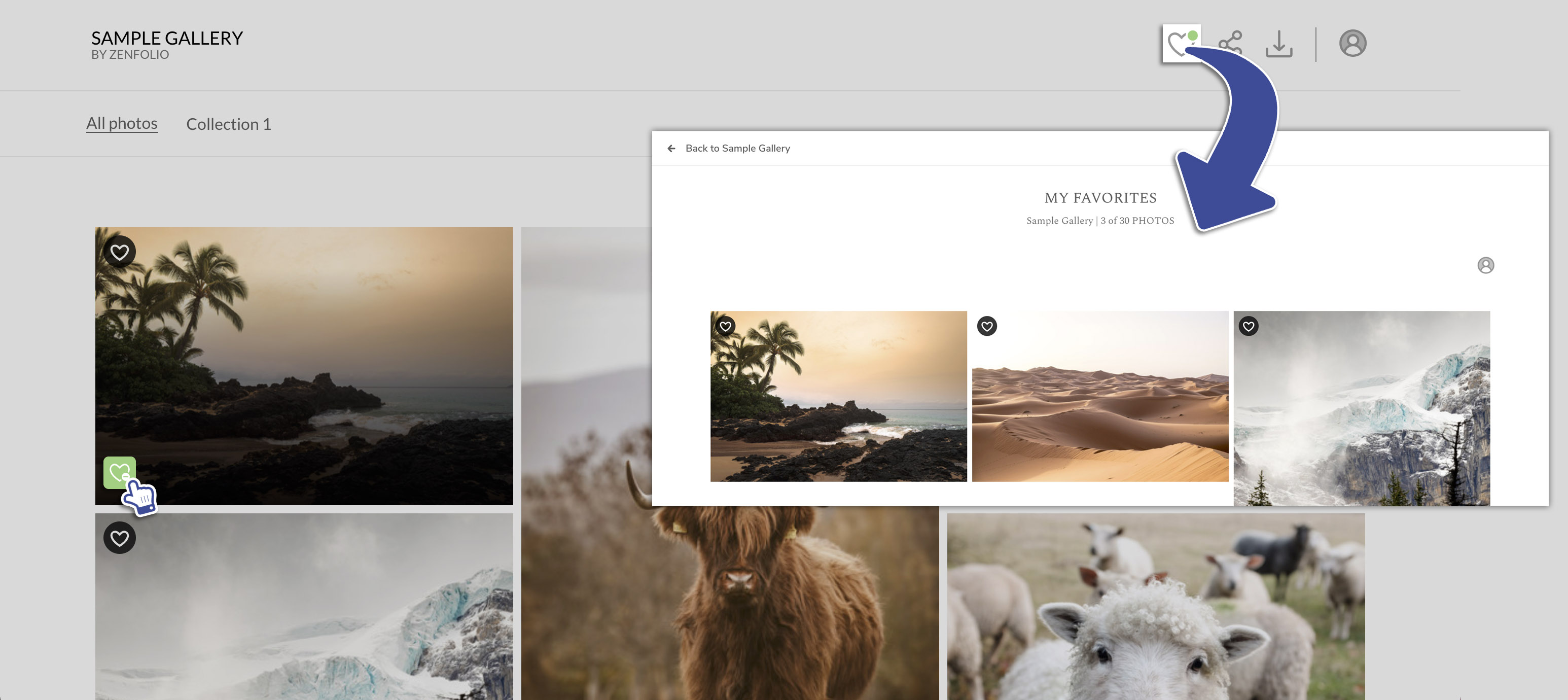Allowing Visitors to Select Their Favorite Photos – Zenfolio