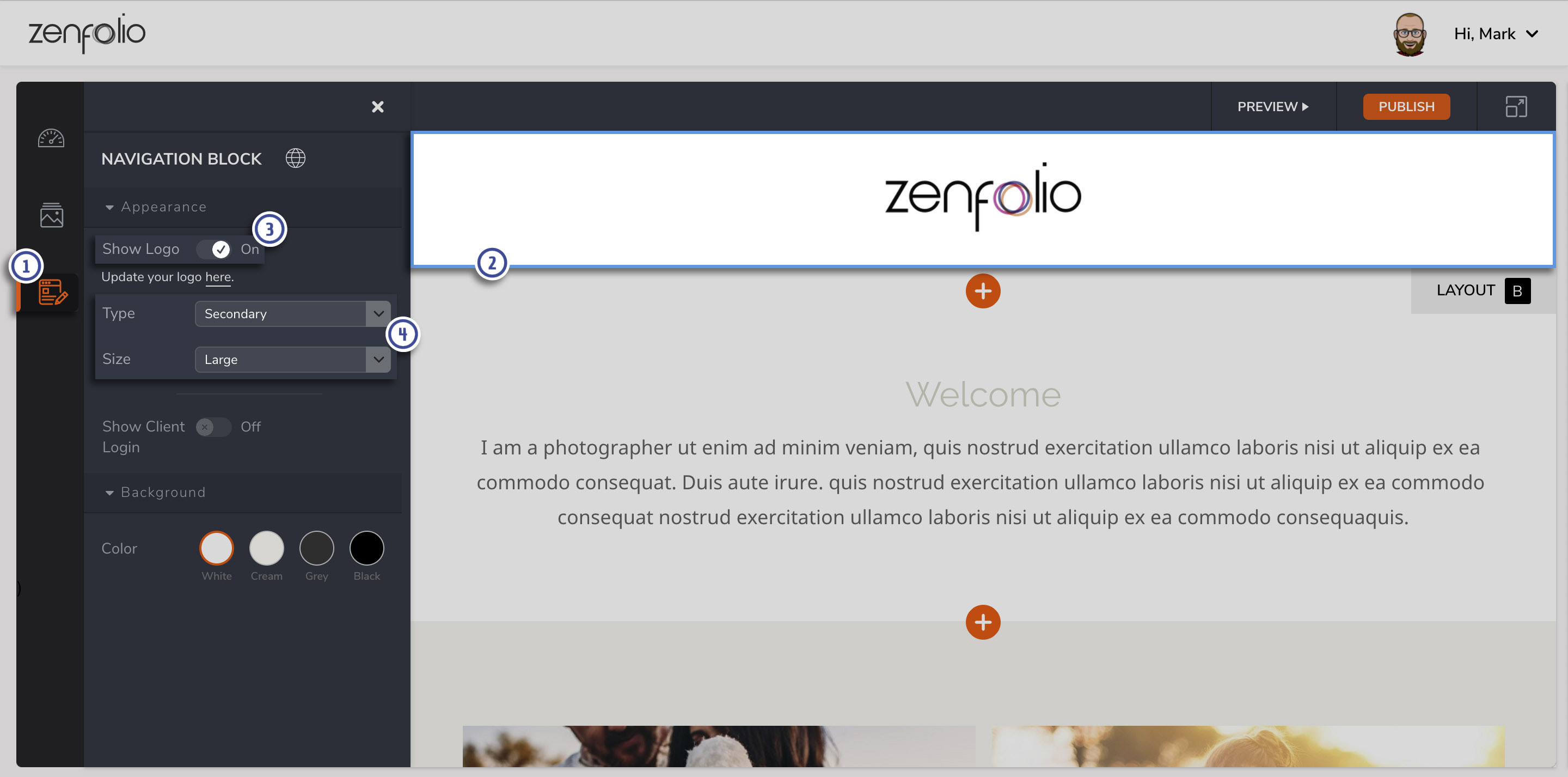 Branding Your Site - Logos, Watermarks, and Favicons – Zenfolio