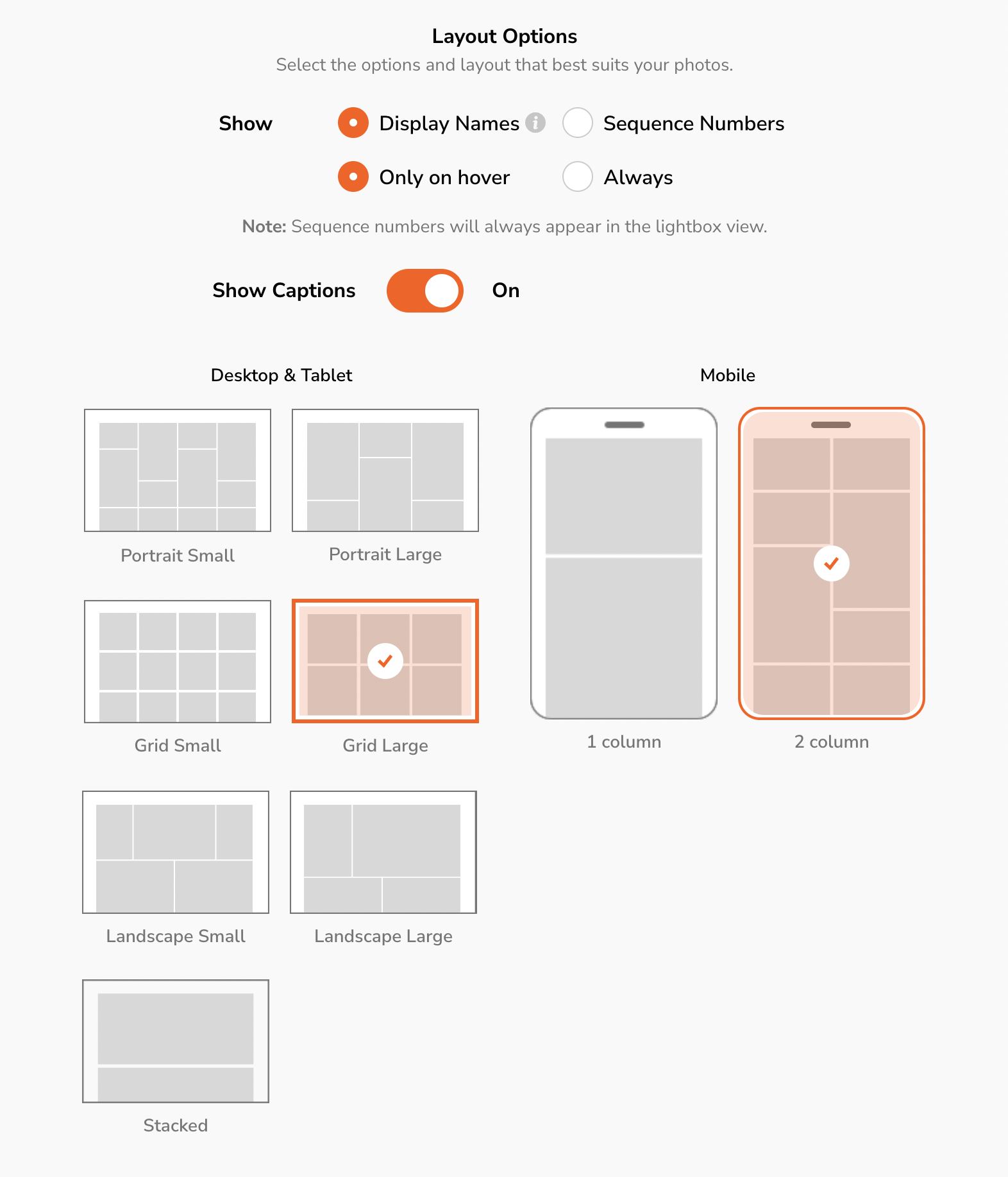 Customizing Your Gallery Design Settings – Zenfolio